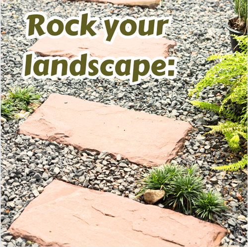 Transform Your Landscape: The Benefits of Rock Landscaping and Low-Wat