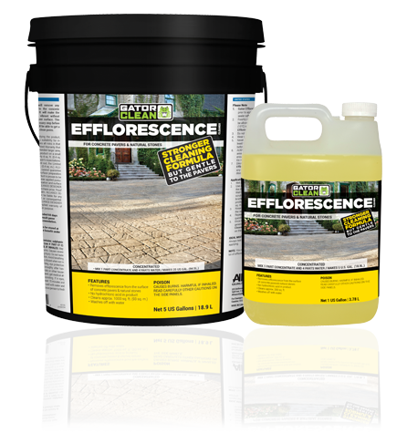 Gator Efflorescence Cleaner 1 Gal