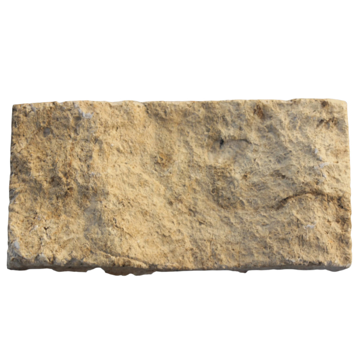 Evolve Stone Samples