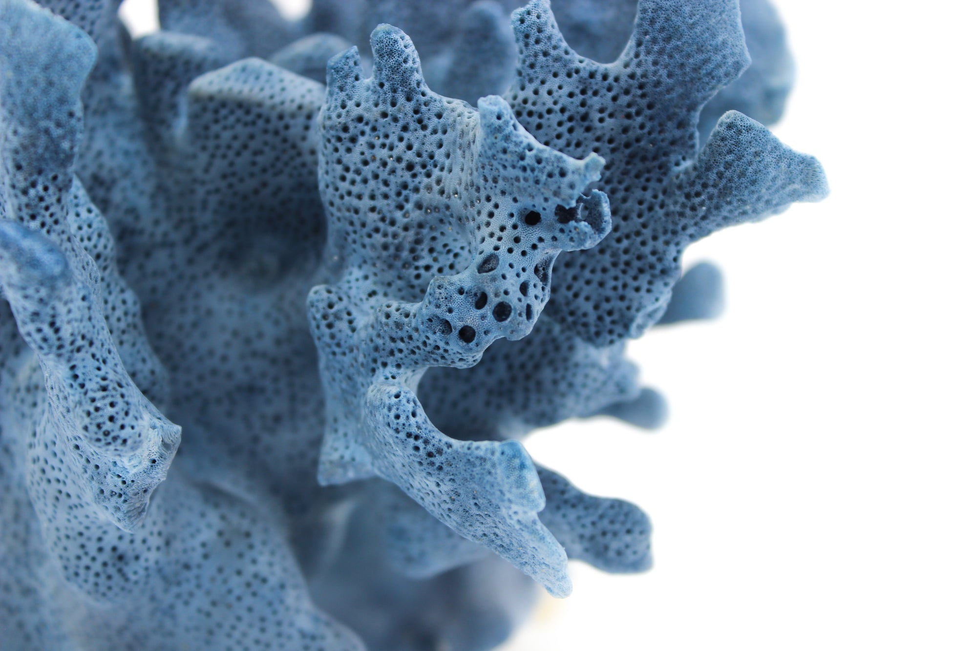 Adobe Rock | Everything You Need for Your Landscape