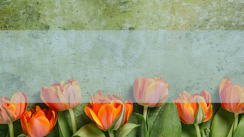 Adobe Rock | Everything You Need for Your Landscape