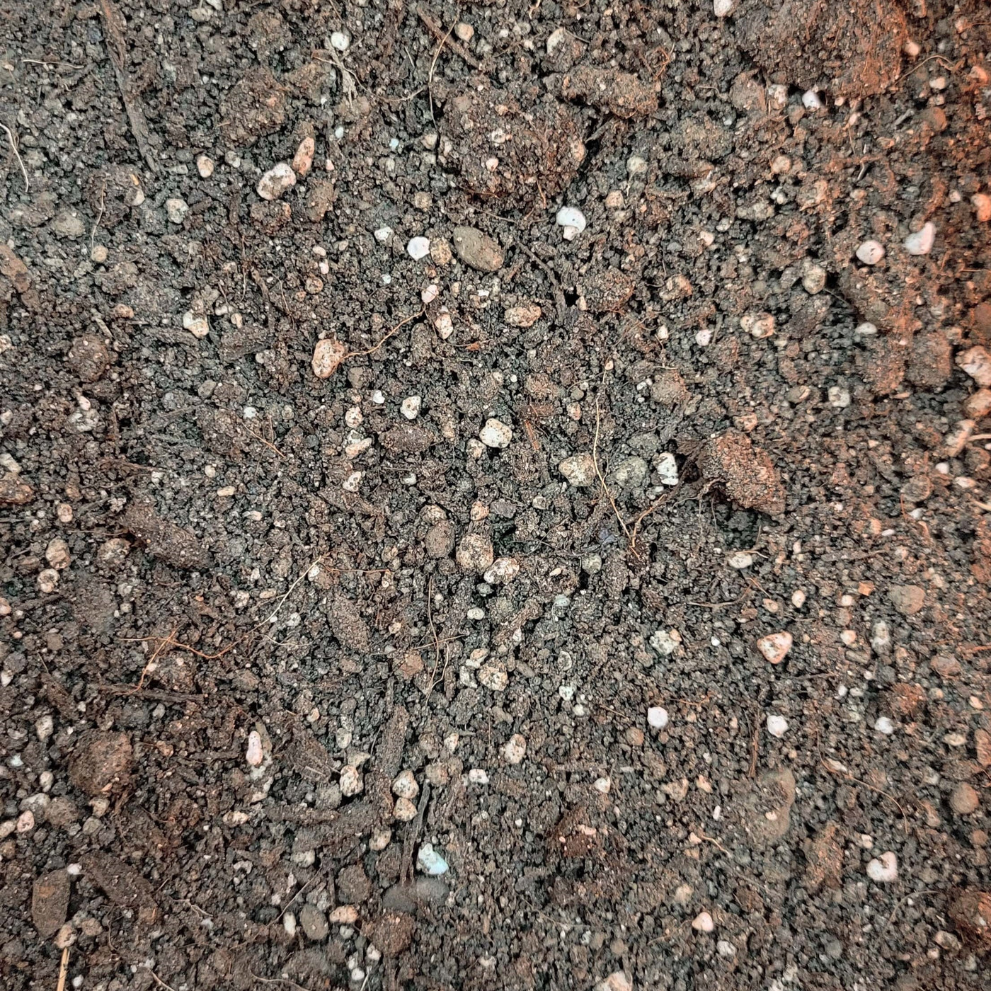 Adobe Rock | Everything You Need for Your Landscape