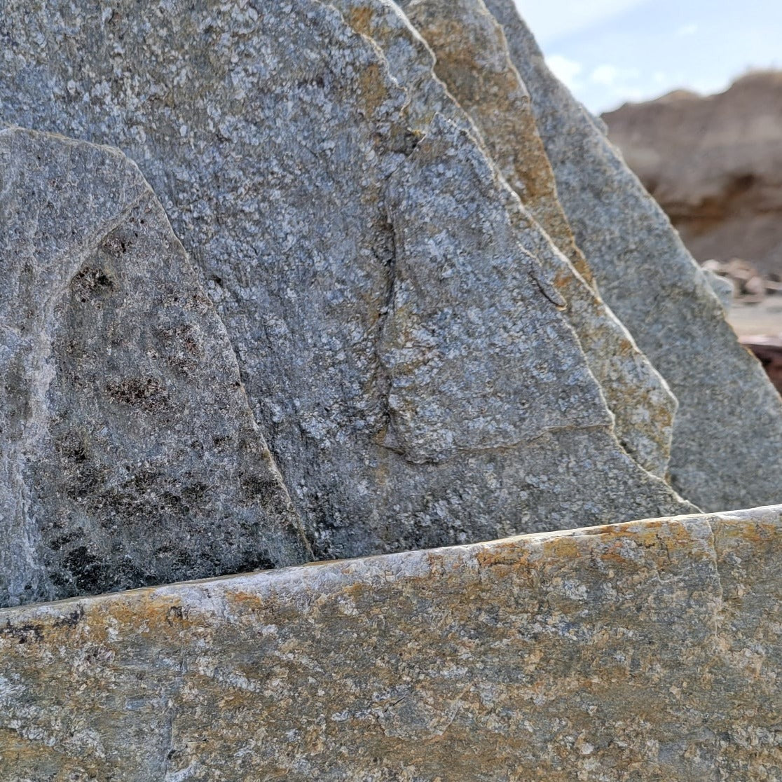 Mesquite Charcoal Flagstone