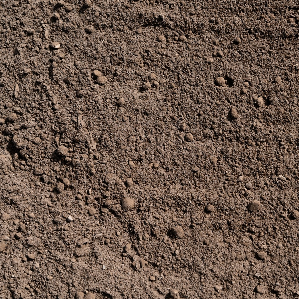 Adobe Rock | Everything You Need for Your Landscape